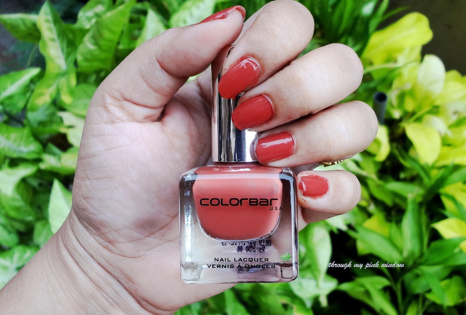 Colorbar Luxe Nail Lacquer in Shade 81 Over the Top : Review and Swatch ...
