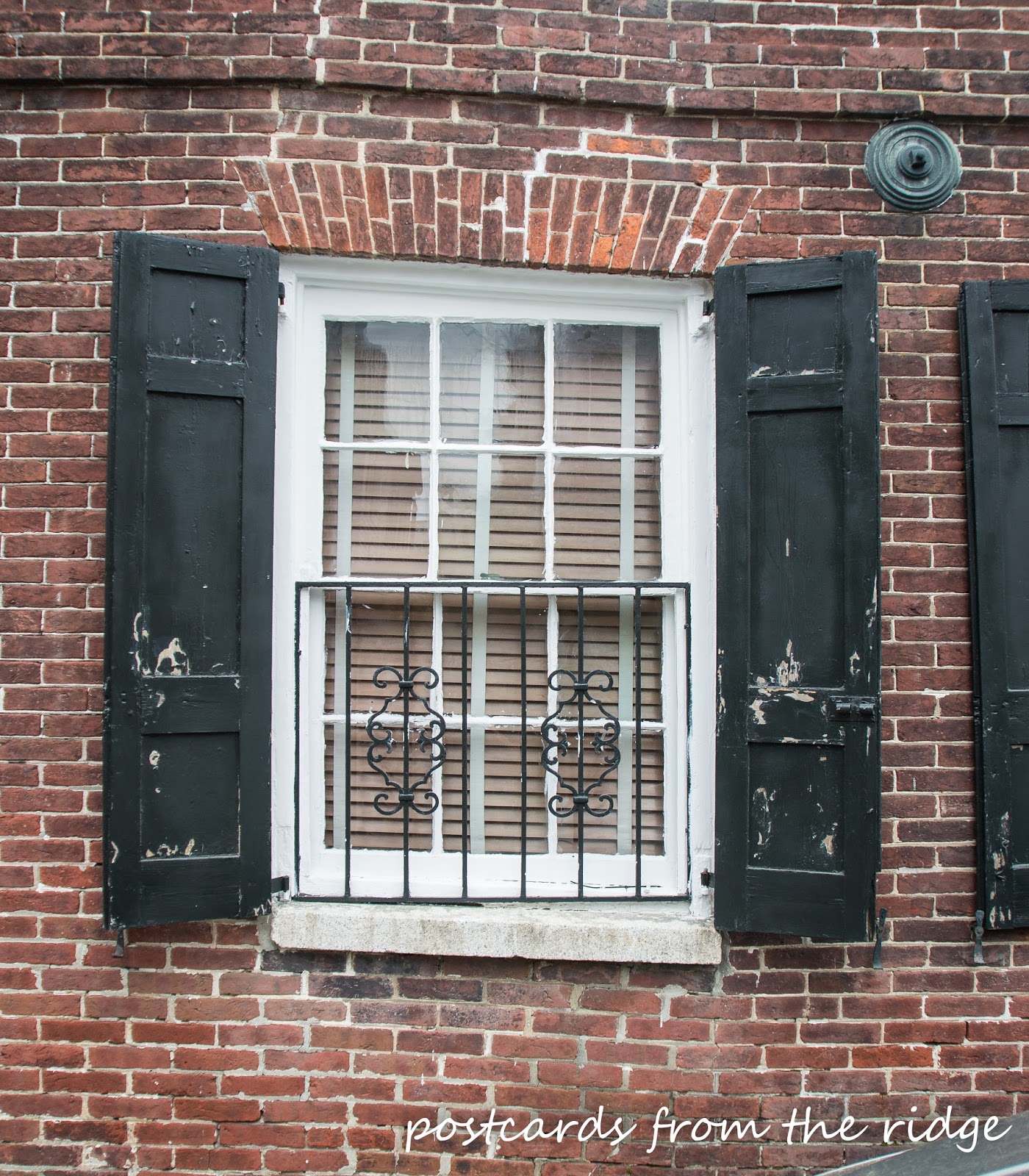 Windows of Charleston | Postcards from the Ridge
