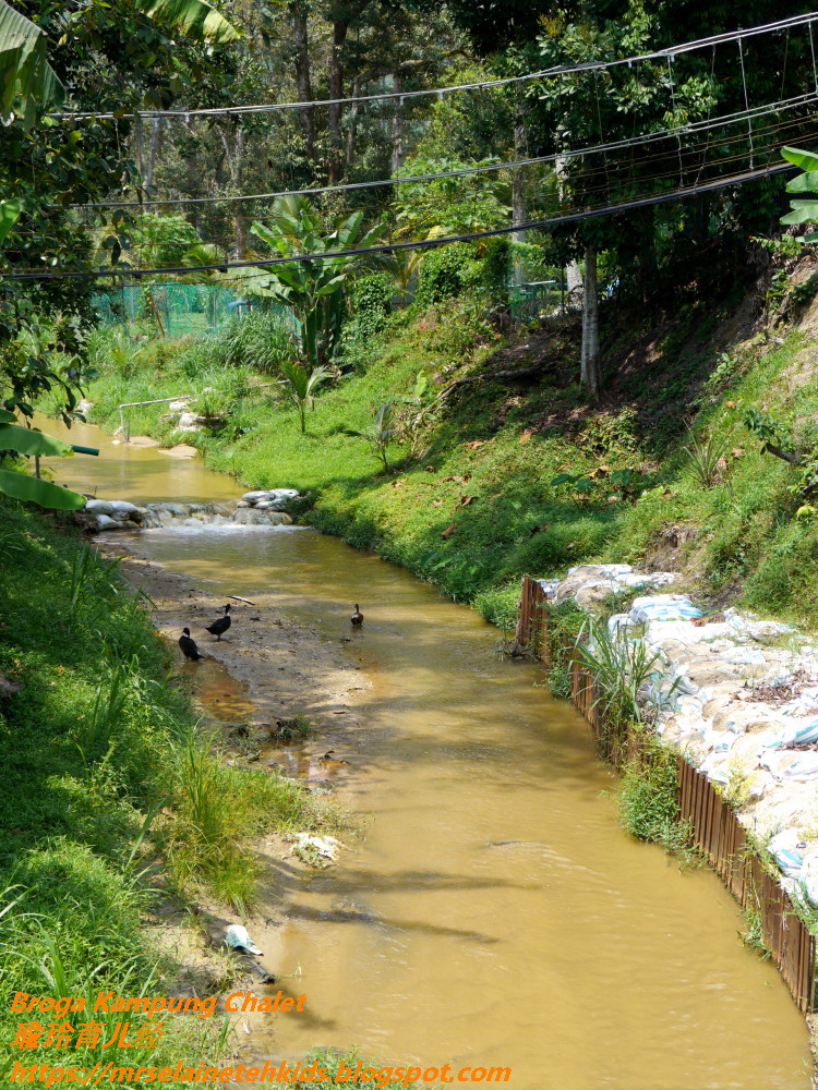 瑜玲育儿经 (Elaine Teh): Broga Kampung Chalet、Broga Leisure Homestay
