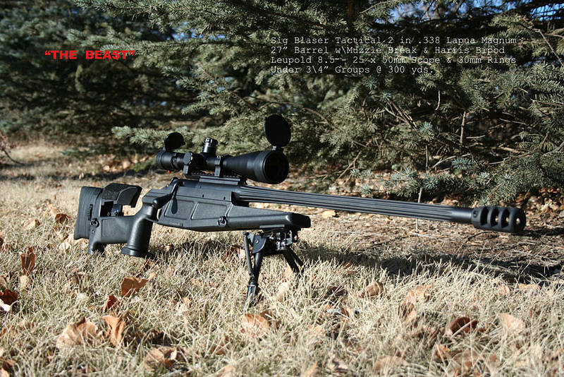 Fusil Blaser R 93,LRS 2,Tactical 2 y R 8 | Armas de Fuego