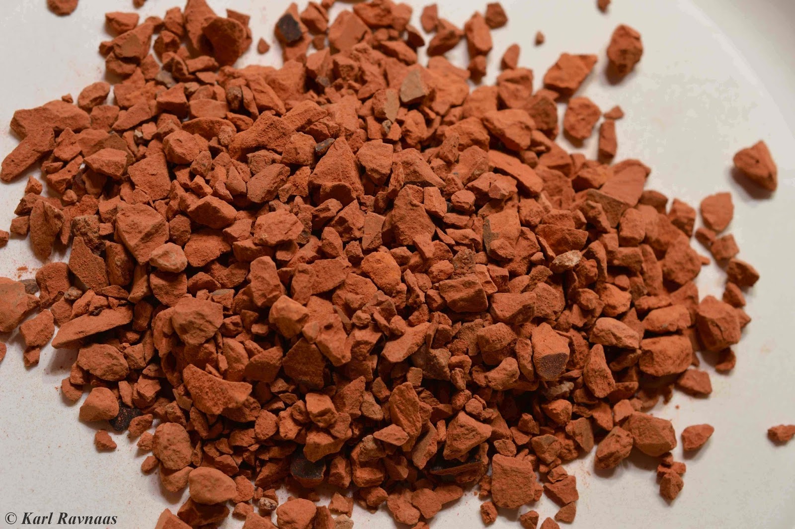 Living Rocks - A blog about cacti and other succulents: The Nursery ...