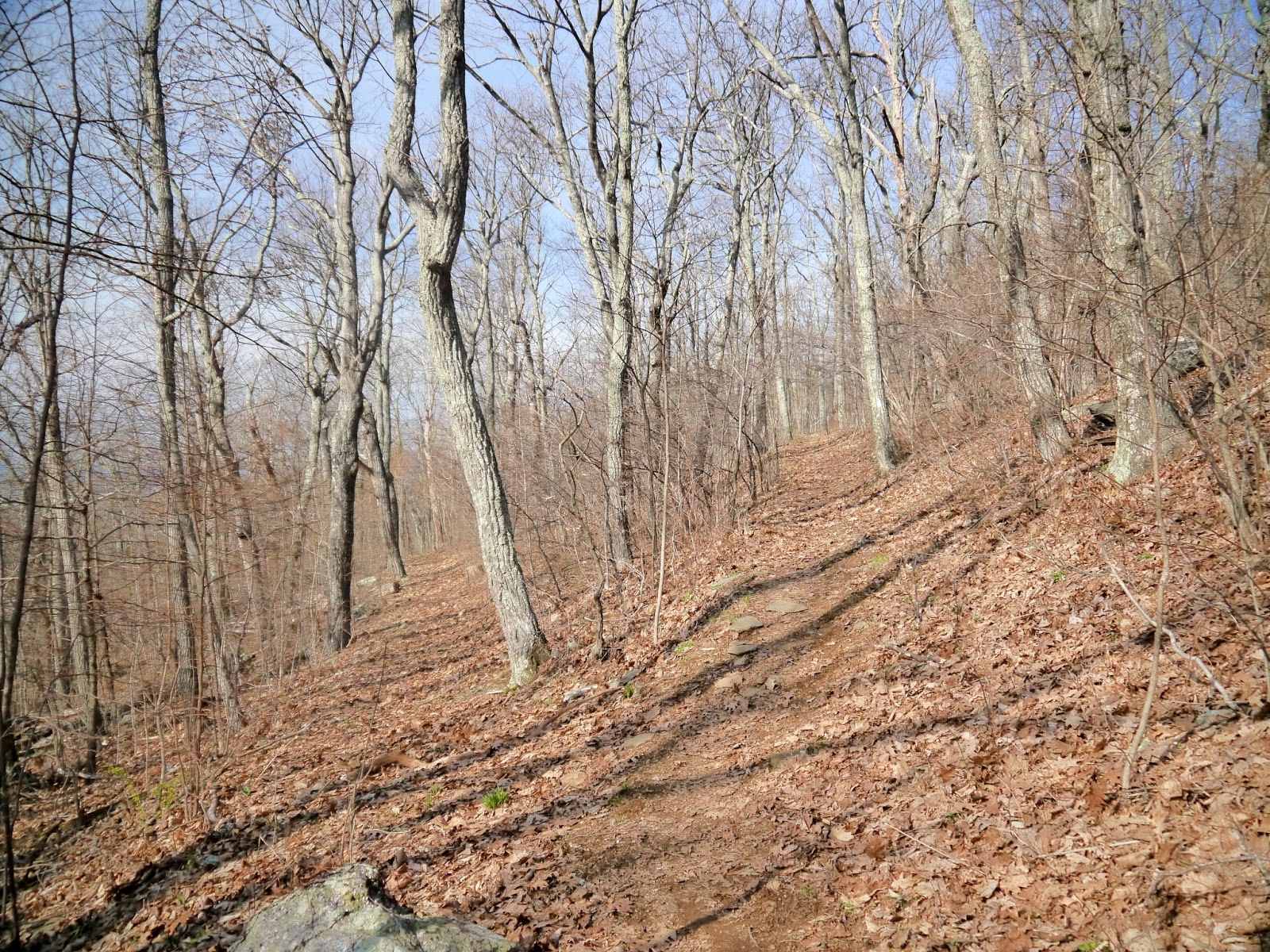 American Travel Journal: Rockfish Gap to McCormick Gap - Appalachian ...