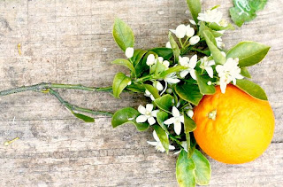 SORBO DE COLOR: Magdalenas de agua de azahar