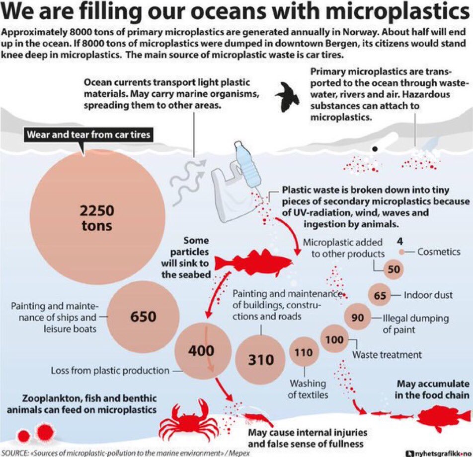 SHER IAS ACADEMY: GK: Understanding how Microplastics threaten Oceanic ...
