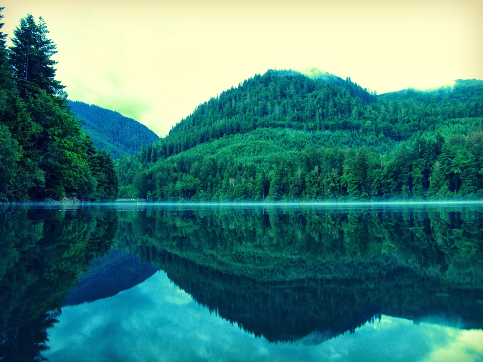 Bob Ward Images: Morning on Riffe Lake