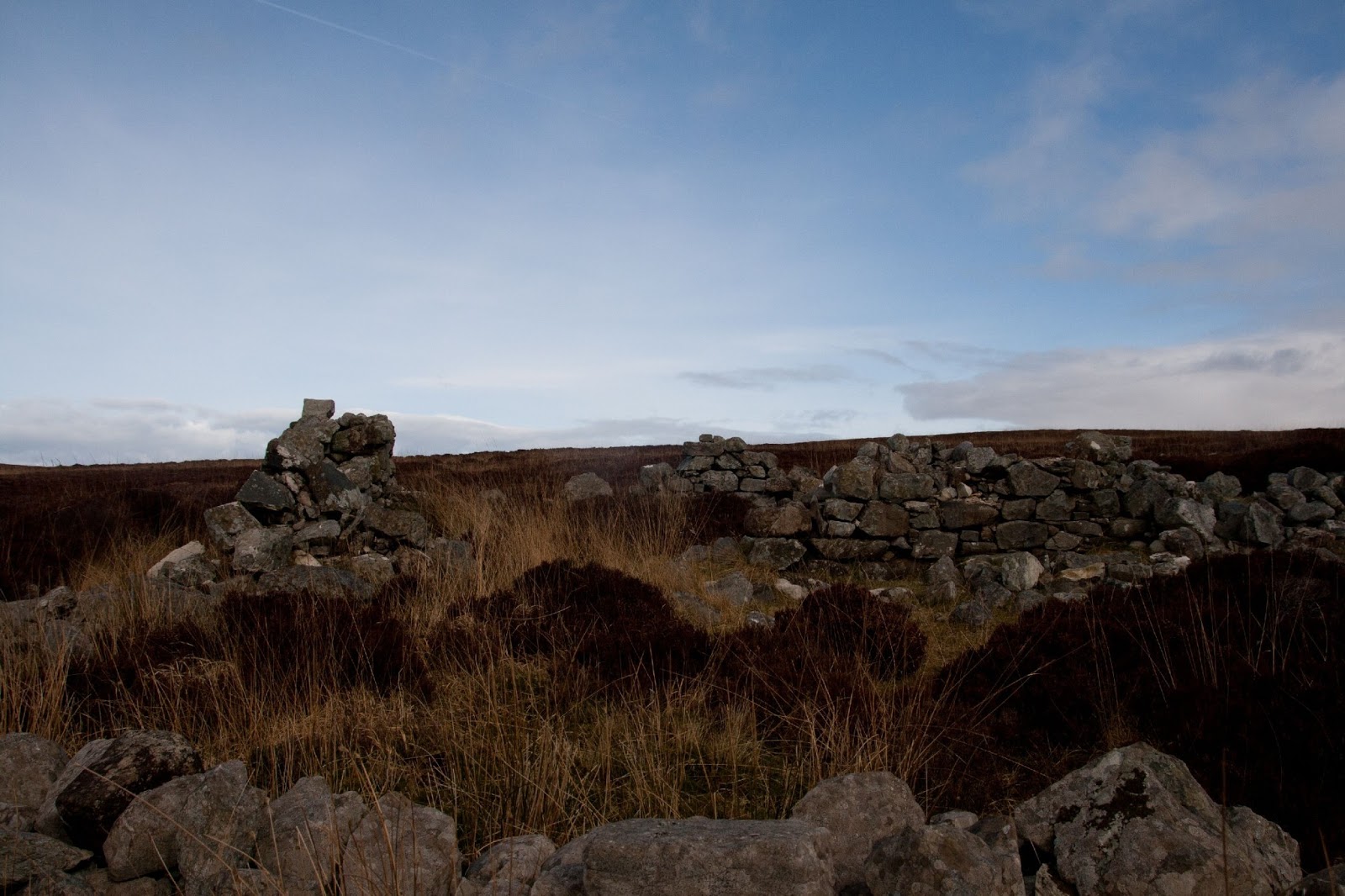 Islay Natural History Trust: Corra-ghoirtein and Coille Mhòr