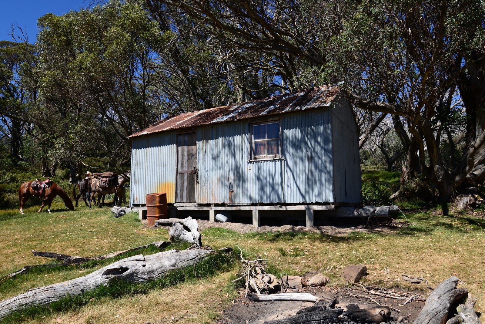 walkabouters club of victoria inc: Pretty Valley - Tawonga Huts - Mount ...