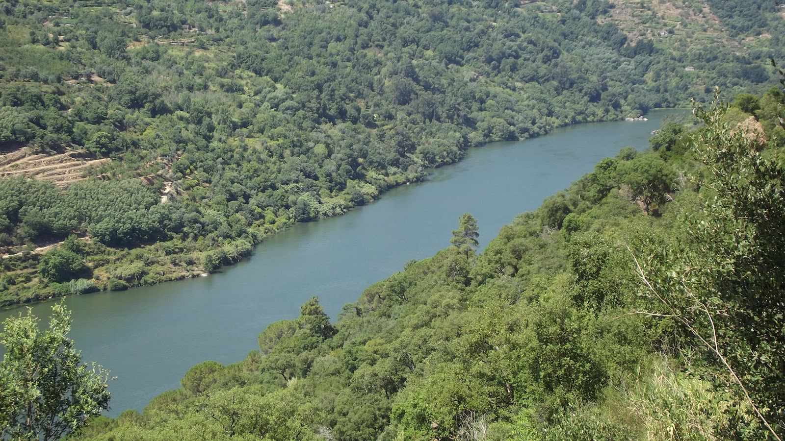 A NOSSA TERRA "FRENDE-BAIÃO"