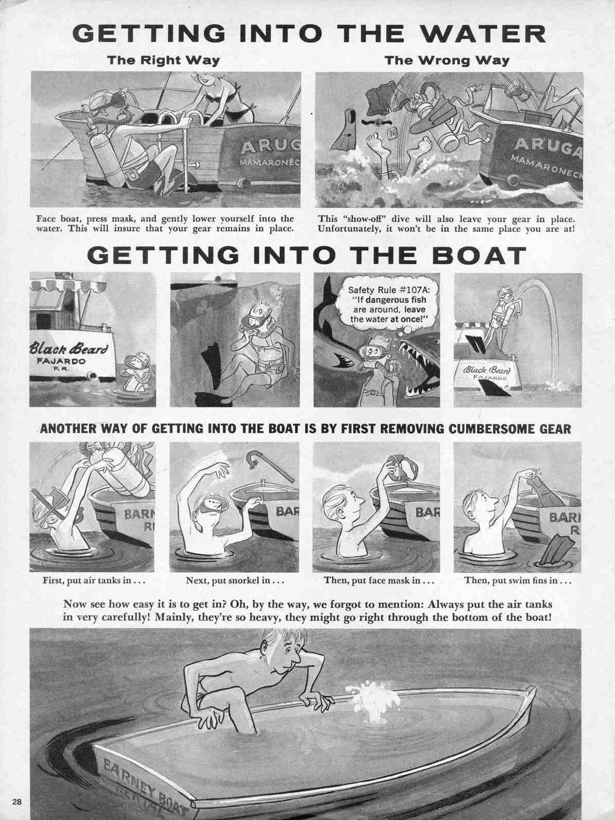 The Art of Diving: The Mad Art of Diving