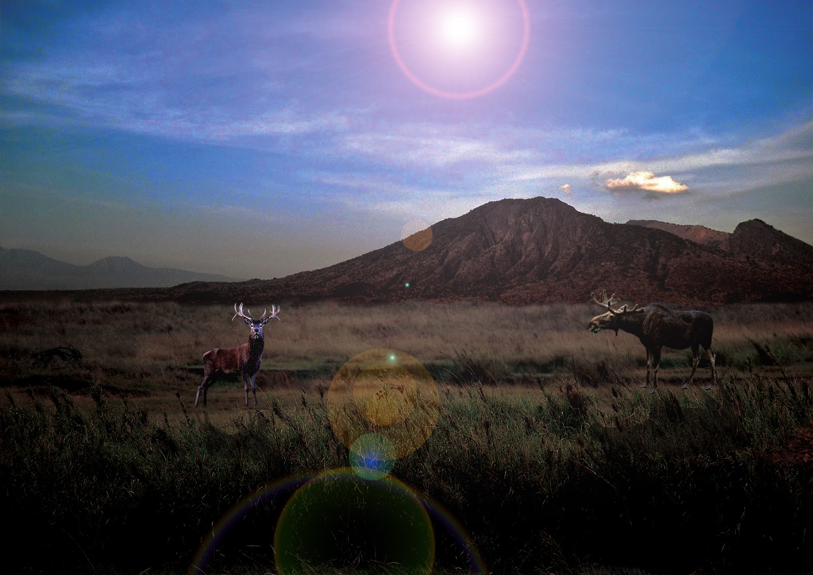 Dwi Saputra Anjasmara: Belajar Membuat Digital Imaging