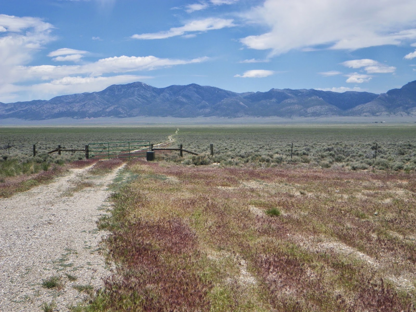 Seven Minutes to the Top: Stay the Course: The Great Basin Desert