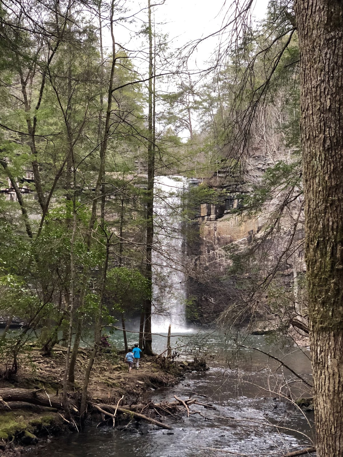 Nomadic Newfies: Foster Falls