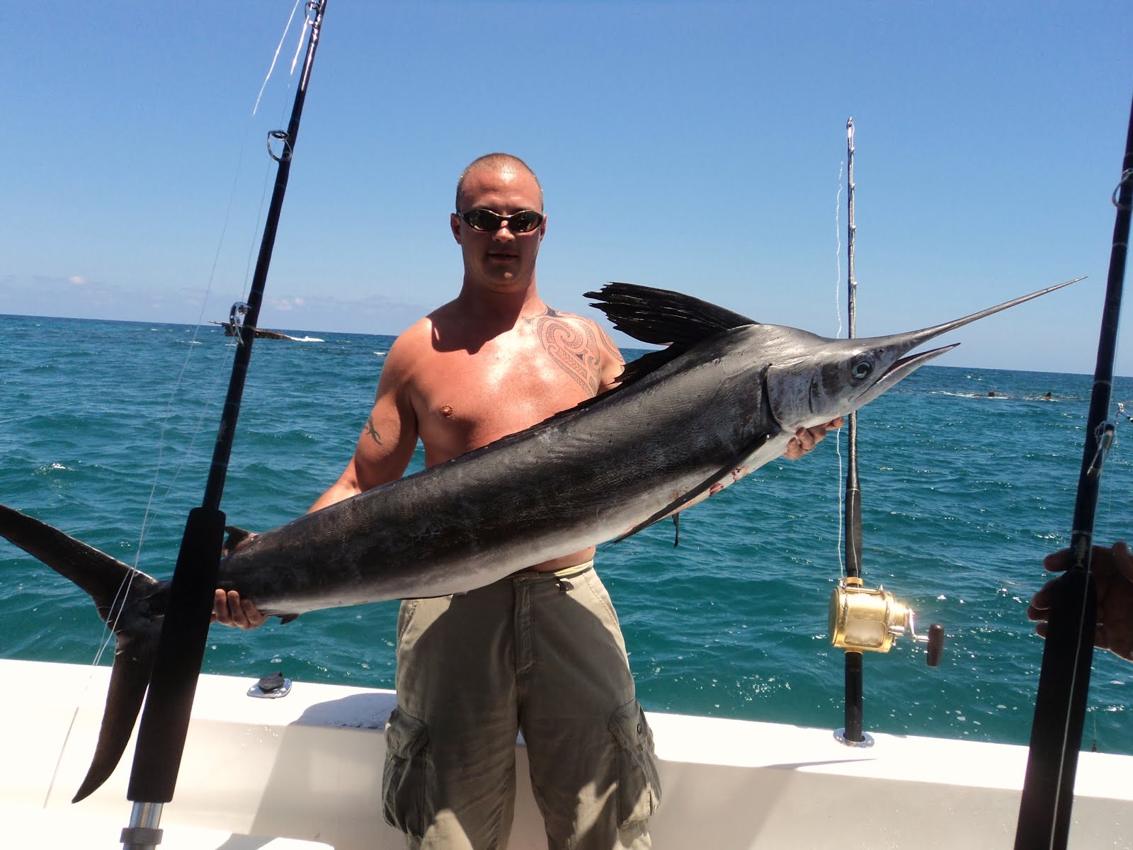 Marlin Fish