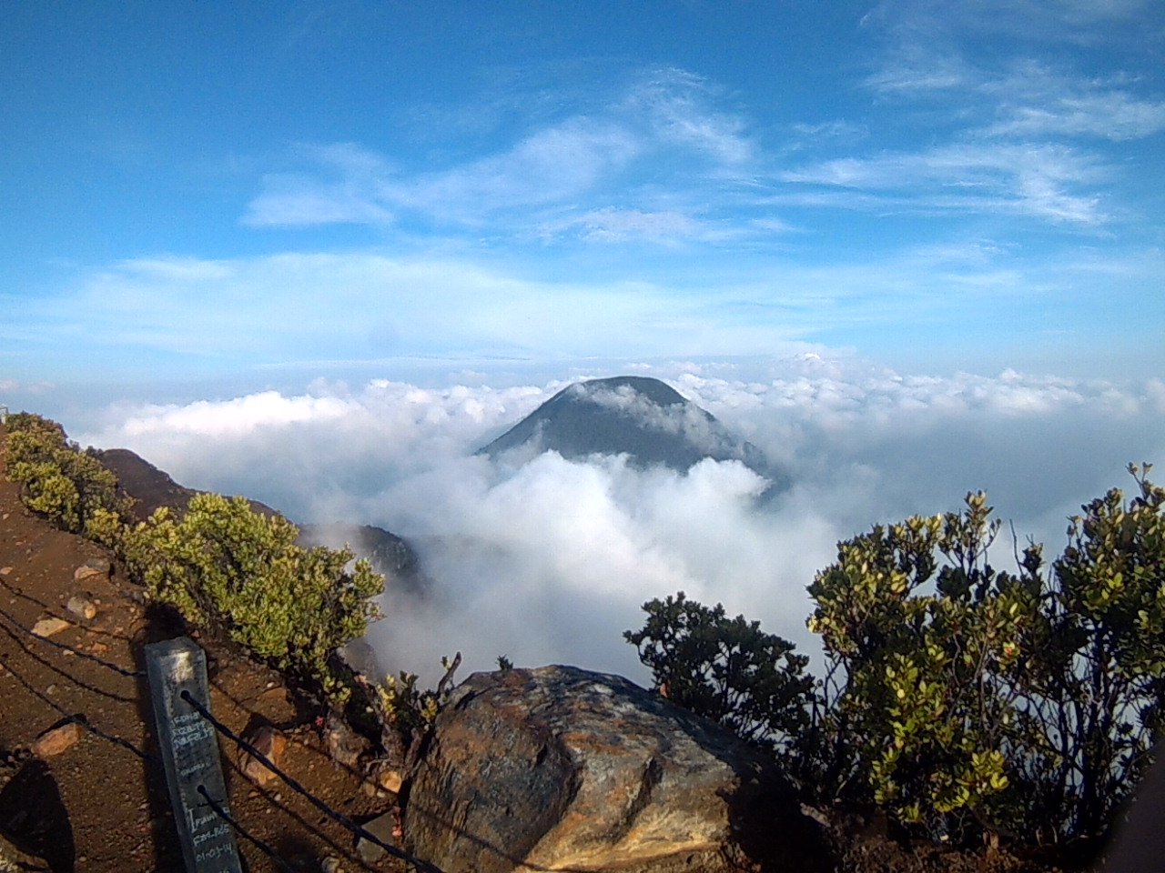 CATATAN PERJALANAN GUNUNG PANGRANGO 3019 MDPL