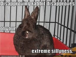 Bipolar Bunny