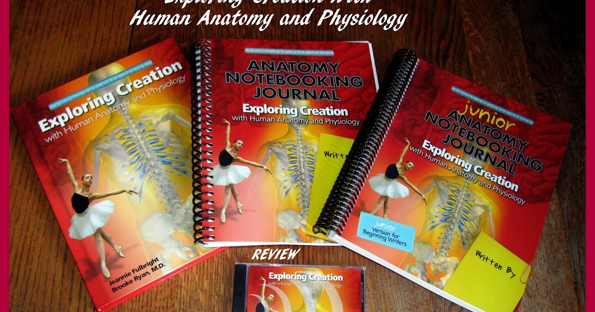 Eccentric Eclectic Woman: Apologia Exploring Creation with Human ...