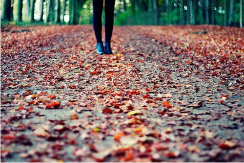 Beth's Super Awesome Blog: I am SO ready for FALL!