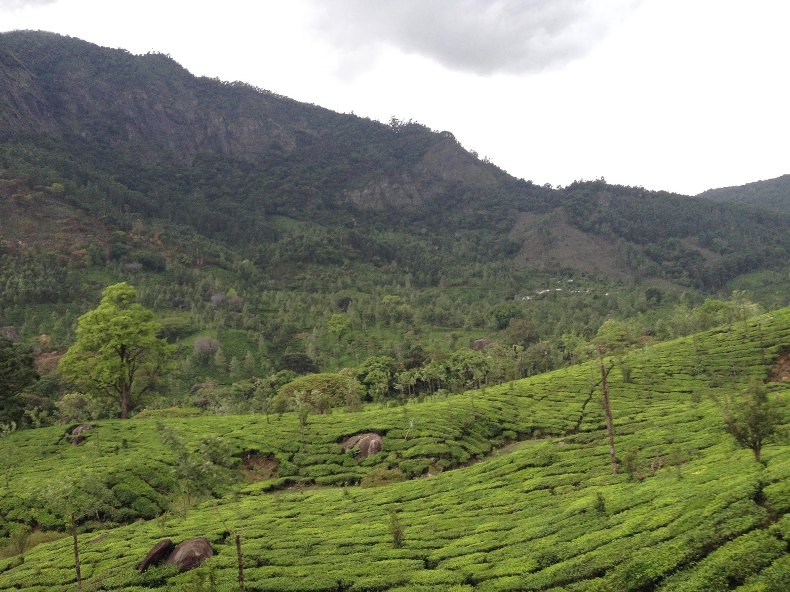 KANTHALLOOR THE LAND OF FRUITS | TOURIST ATTRACTIONS IN KANTHALLOR ...