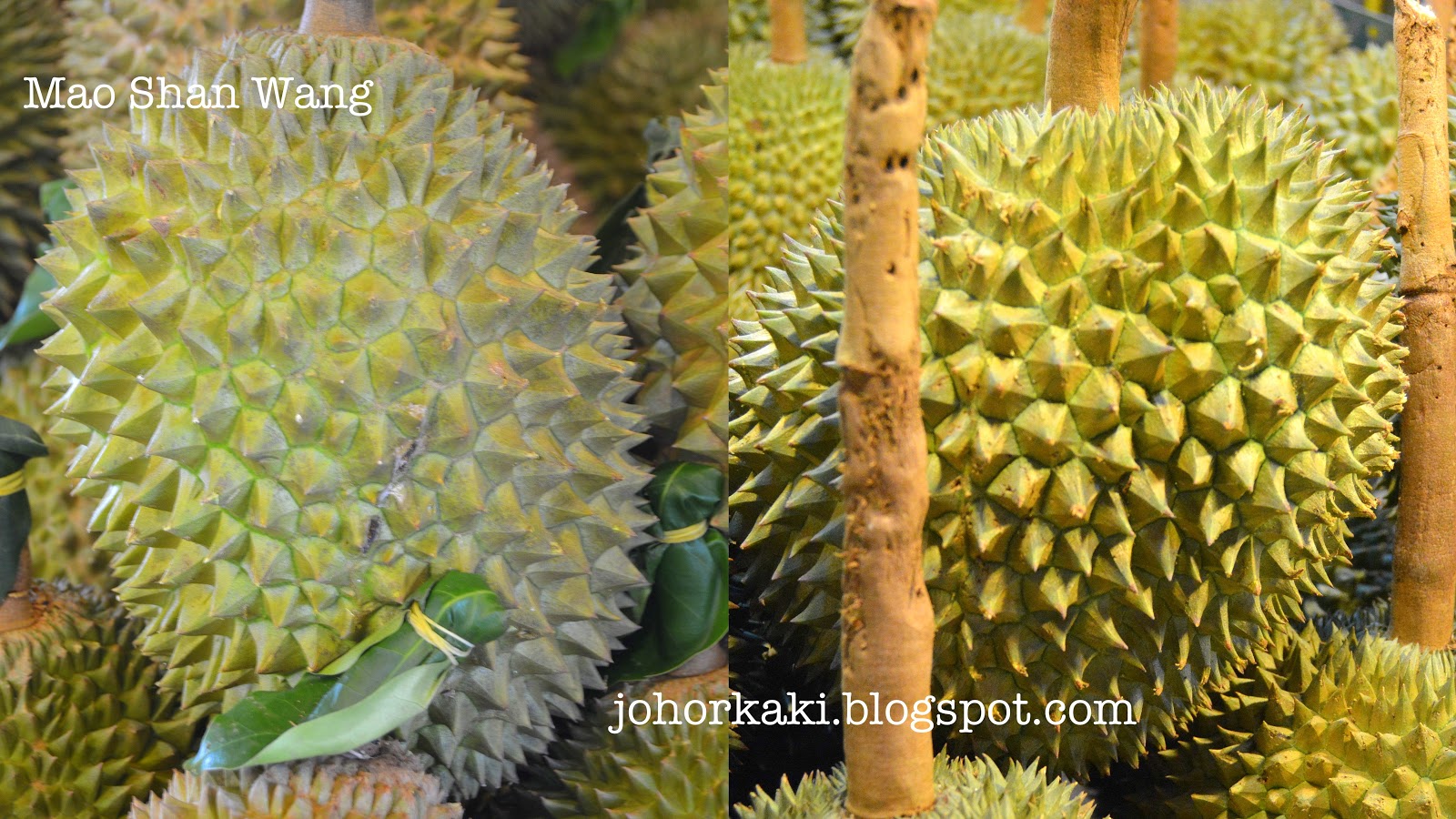 5 Tips on How to Spot a Real Mao Shan Wang MSW Musang King Durian 猫山王 ...