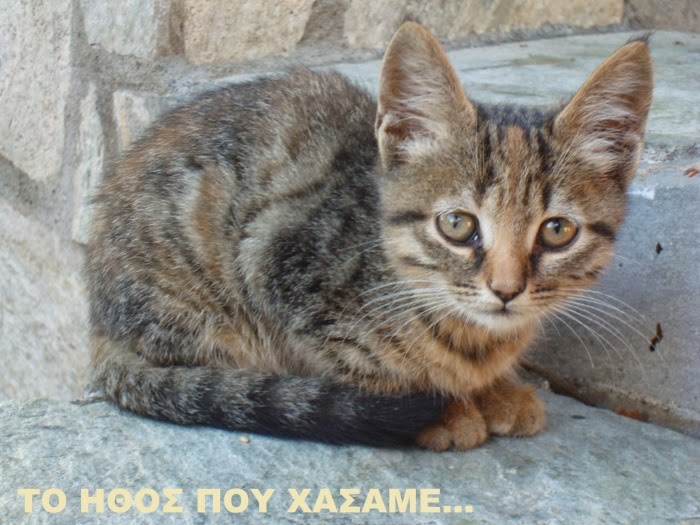 TΟ ΗΘΟΣ ΠΟΥ ΧΑΣΑΜΕ...: Καλημέρα και σήμερα...