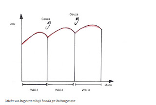 MITIKI -KILIMO KWANZA: MBOLEA VUNDE