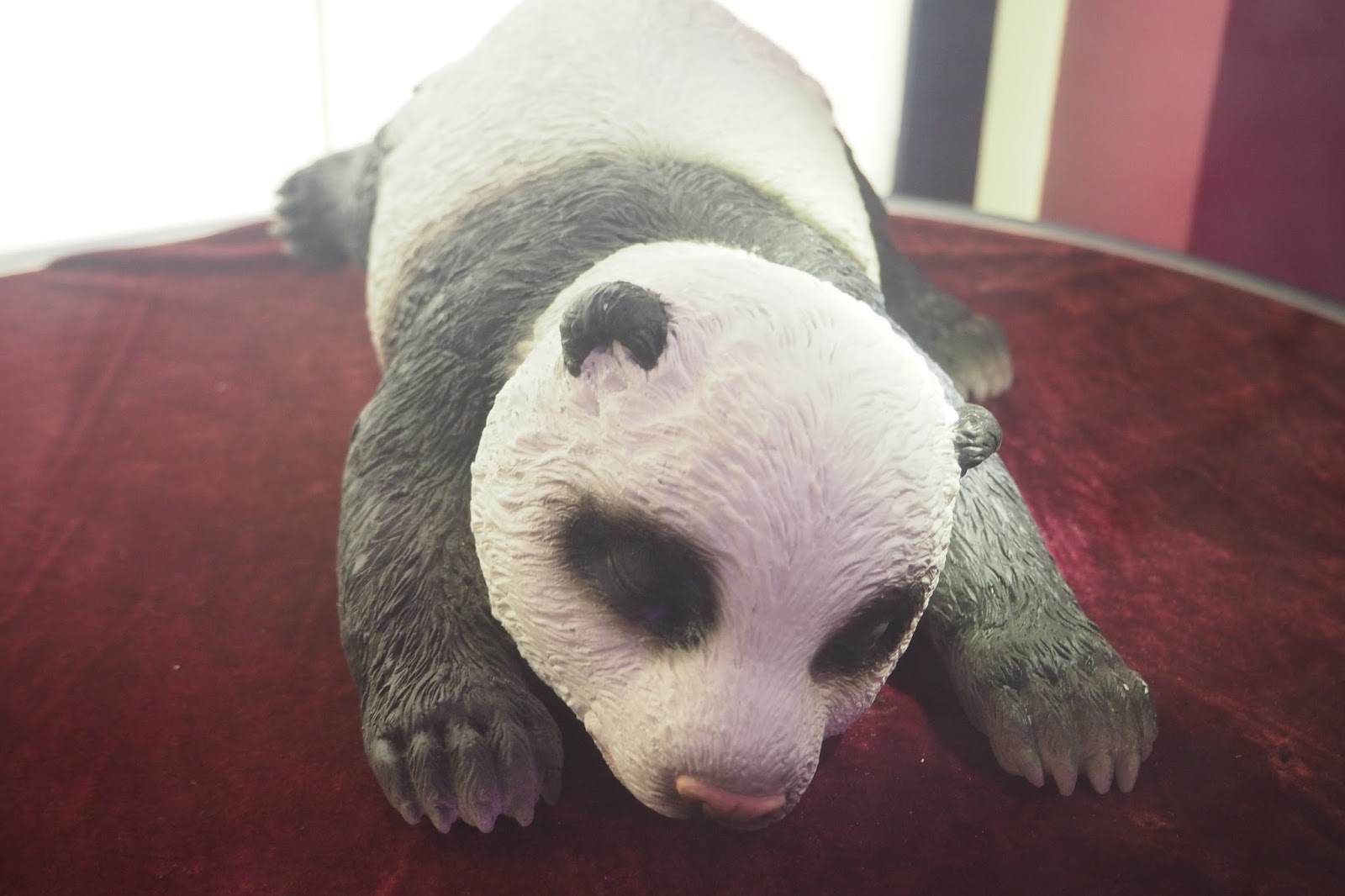 Kee Hua Chee Live!: AMBER CHIA BRINGS HER PARENTS CHIA HUN POY AND CHUA ...