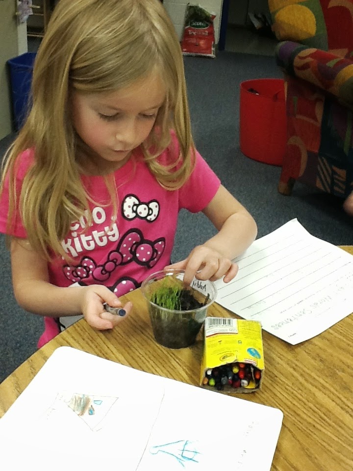 Mrs. Bayley's Kindergarten Kids: Science: Plant Unit