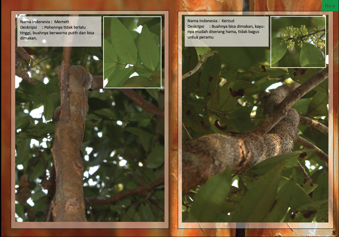 FLORA ~ Hutan Pelawan