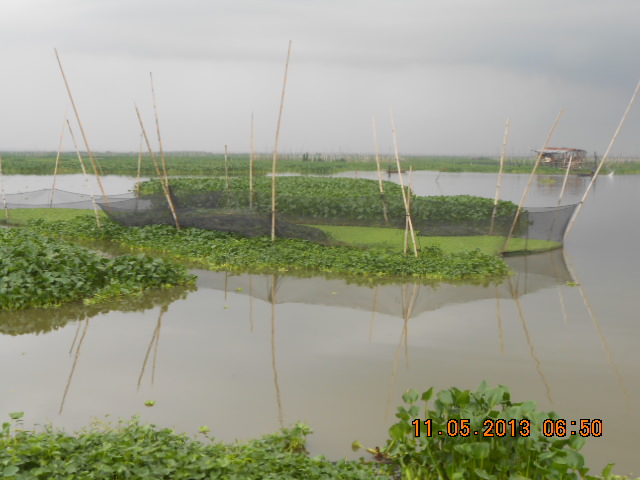 ANGONO (Higante) Chronicles : Images at Angono Lakeside Park, Wawa ...