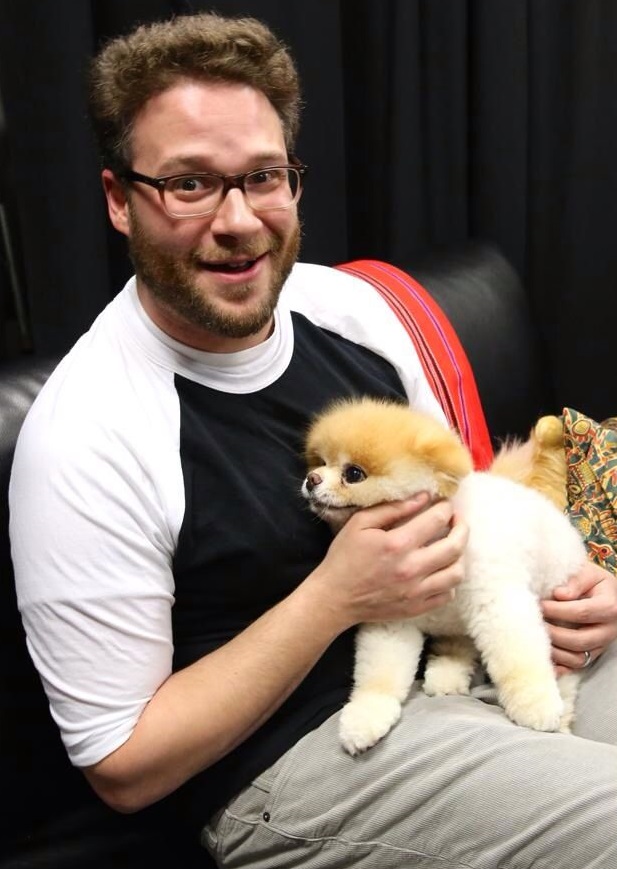 Bibi Leitura : Morreu Boo, “o cão mais fofo do mundo”