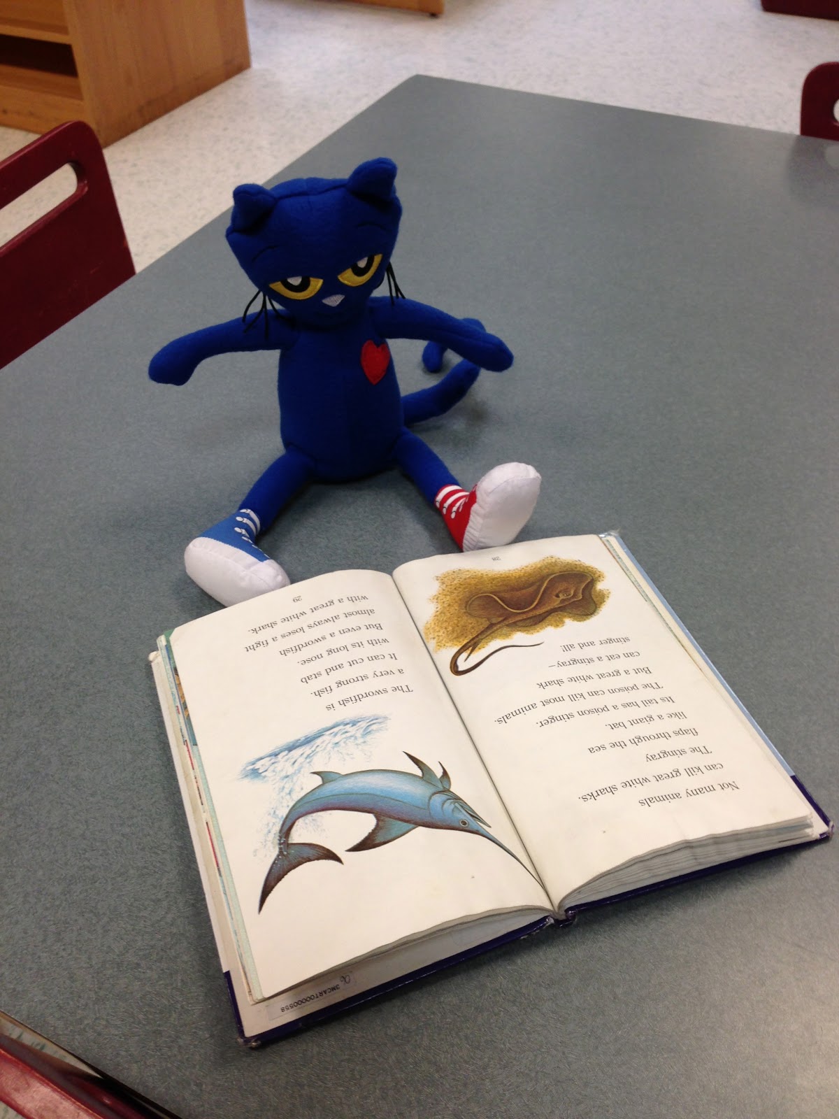 Pre-K is Special: WH Questions - With Pete the Cat