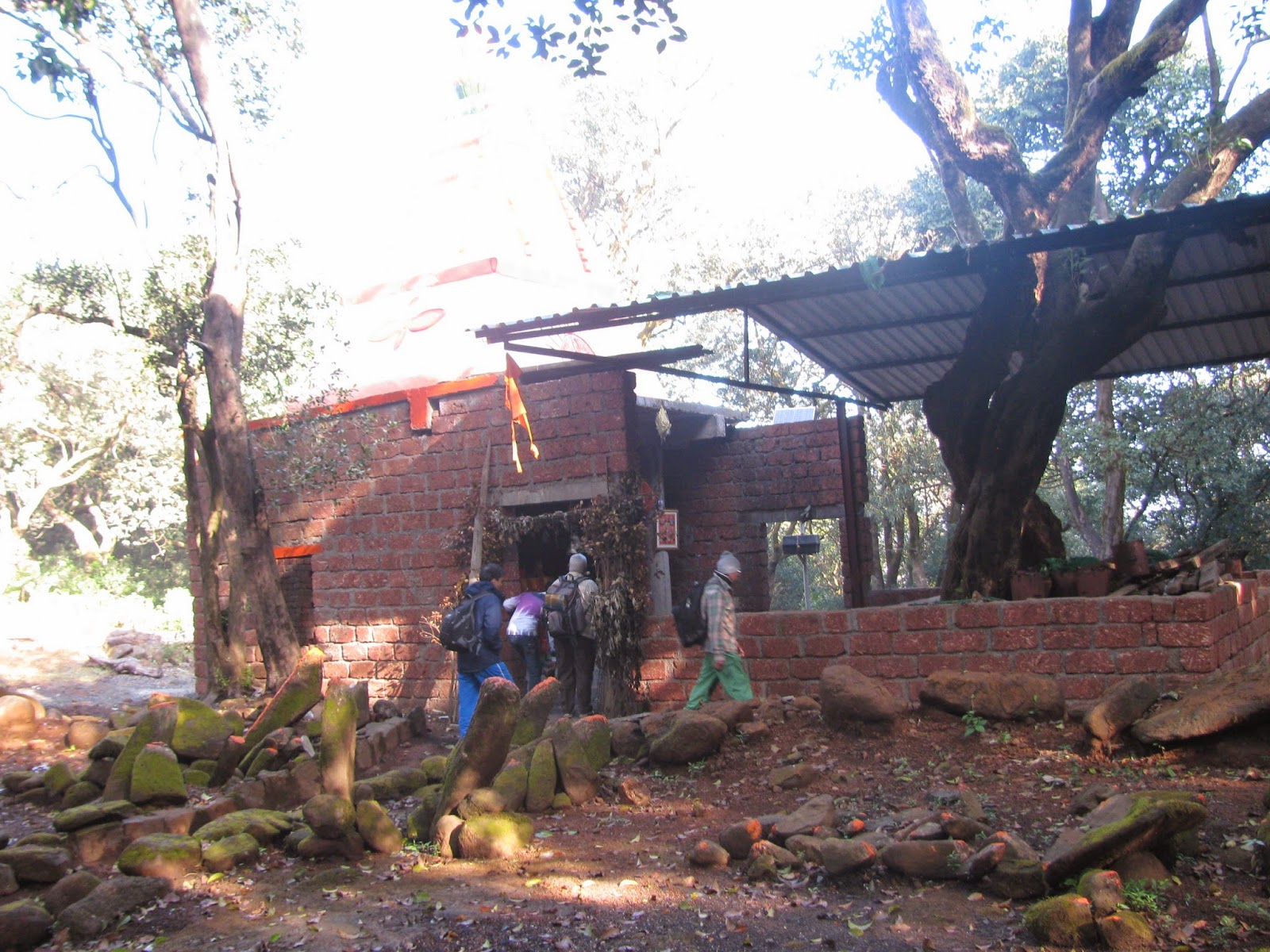 Weekend Nature Explorer: Trek Durg, Dhakoba, Amboli & Darya Ghat