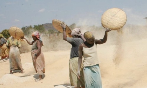 JWTZ wabuni mashine ya kumenya mpunga. - Zero Degree