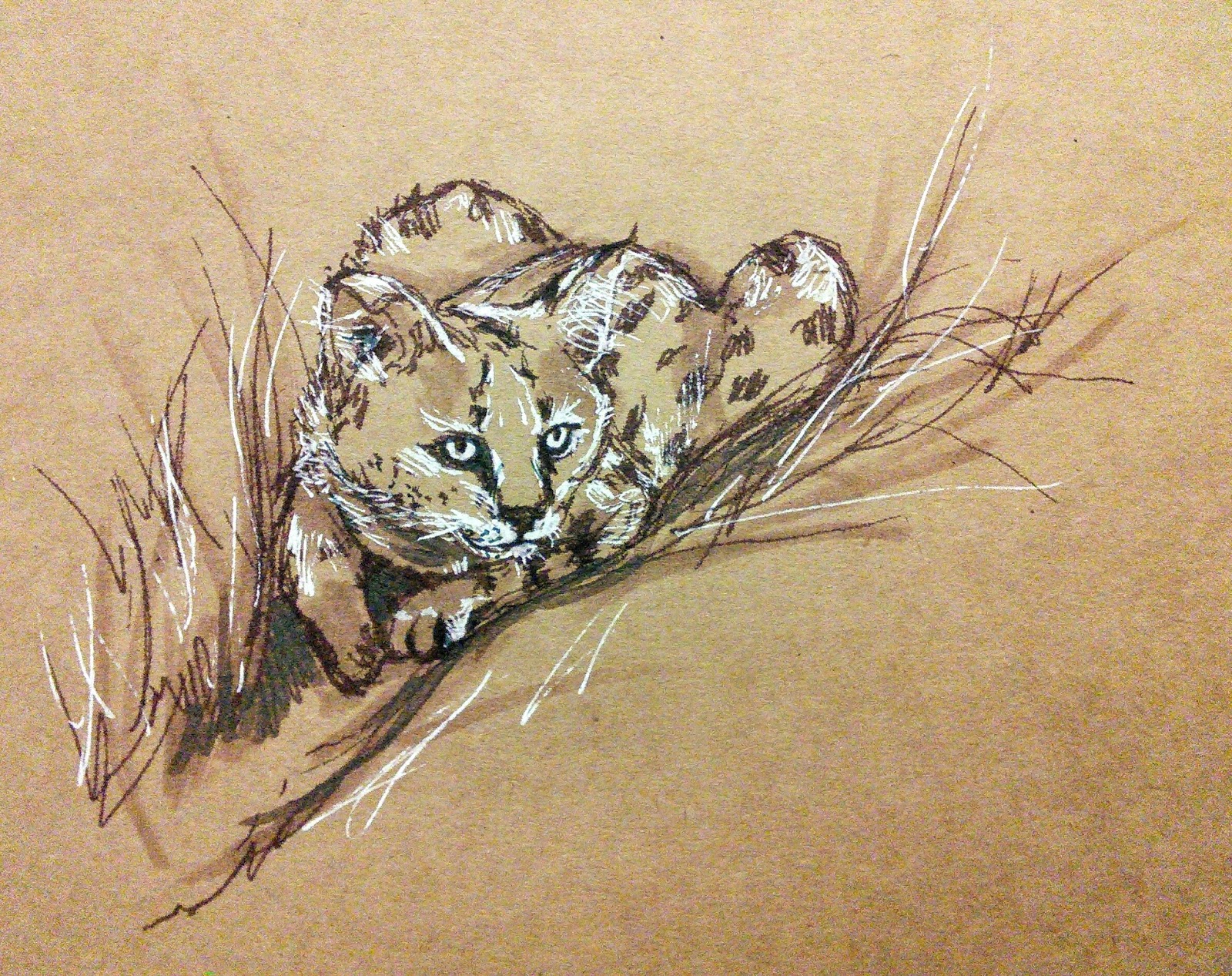 Create A Drawing A Day: Serval and an art tip