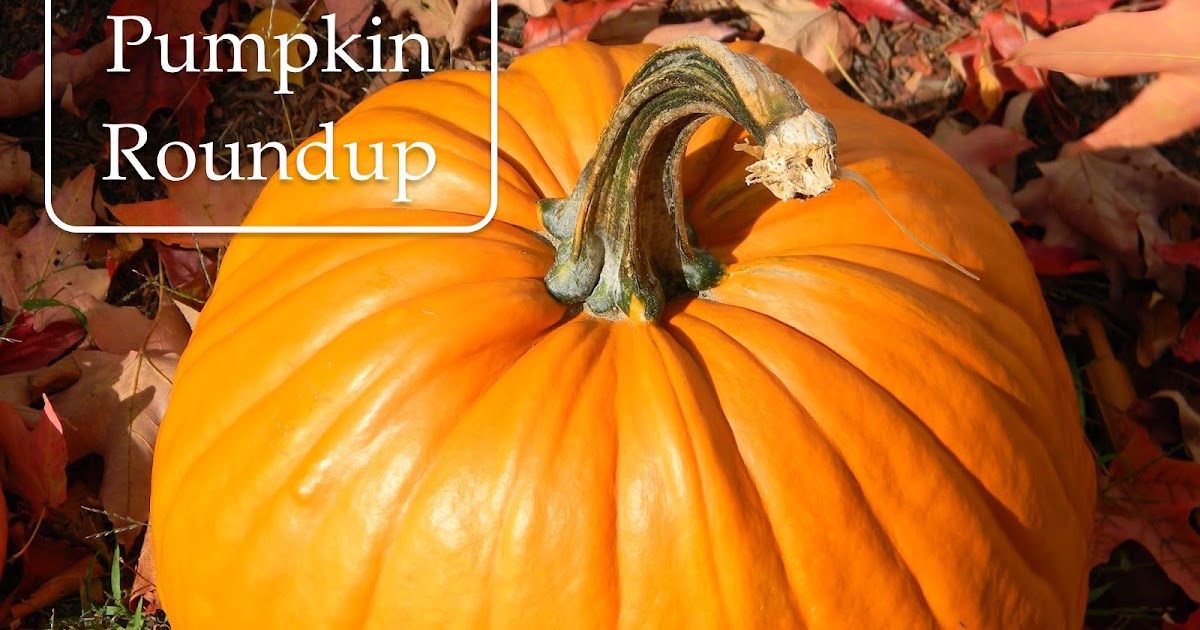 Home-Cooked & Handmade: Pumpkin Roundup