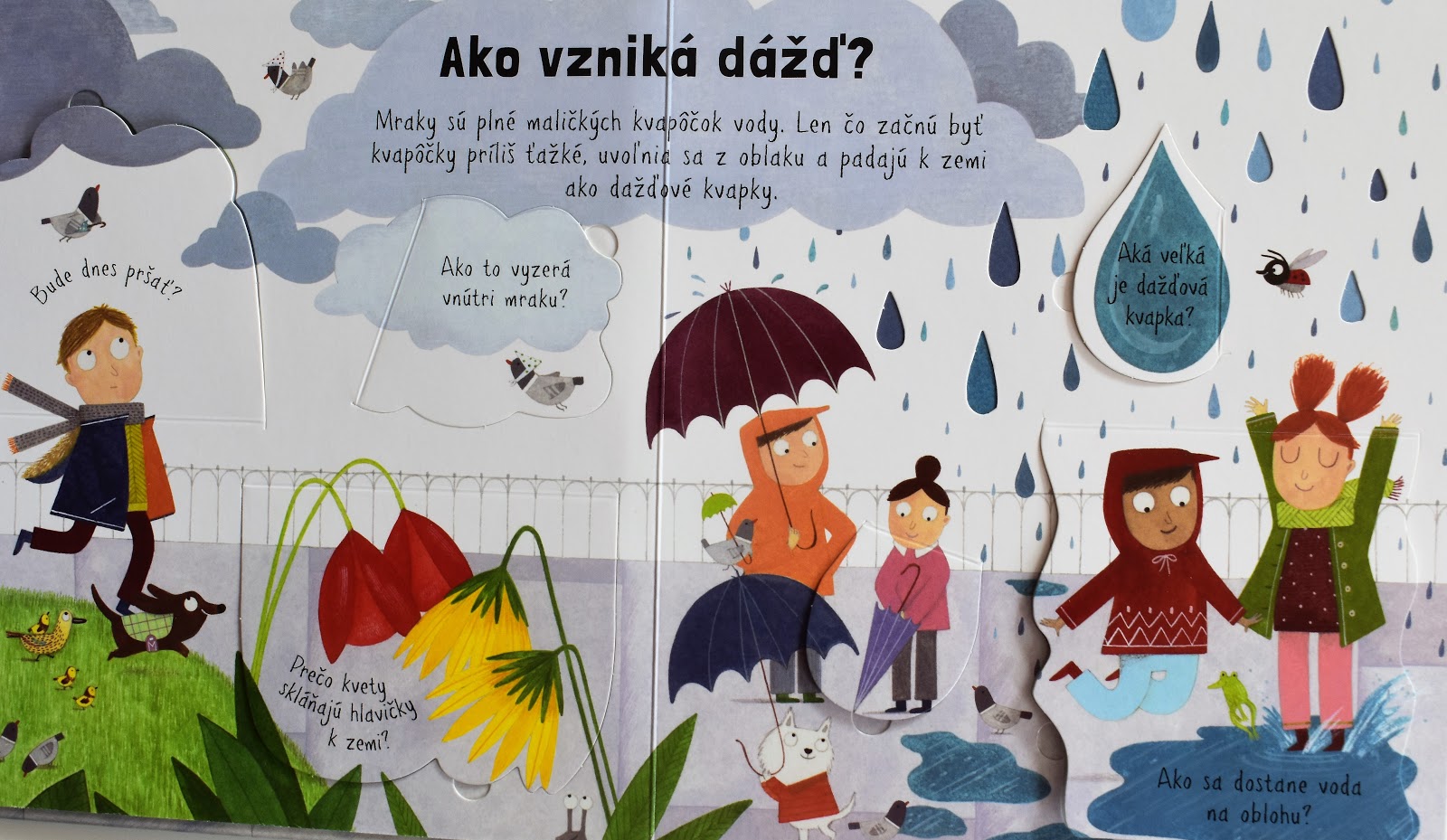 Knihovníčkin svet: Knižný úlovok & recenzia: Ako vzniká dážď?