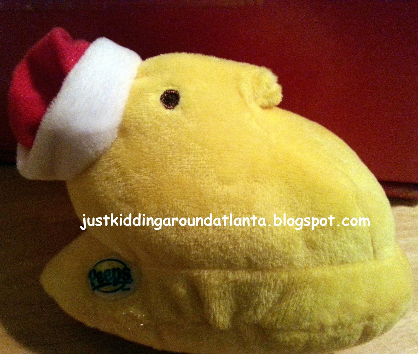 Explore Learn Have Fun!: 2015