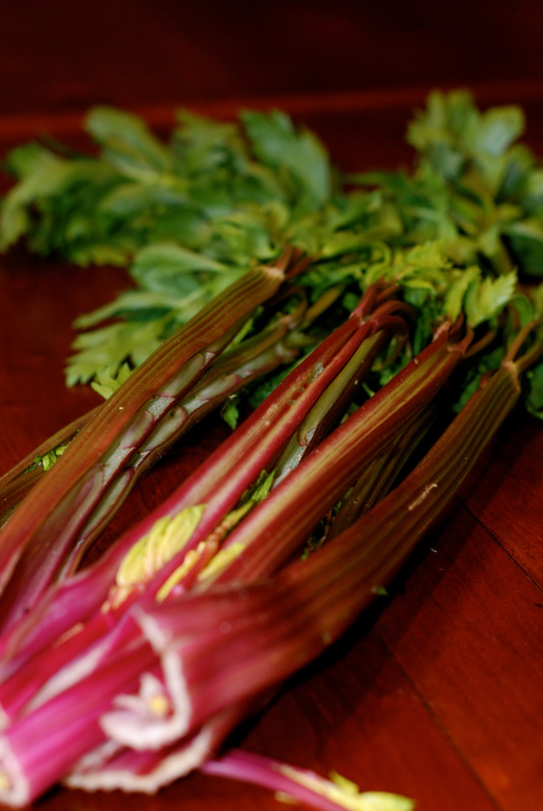 Natural Health and Prevention: Cultured Mondays - Pickled (Lacto ...