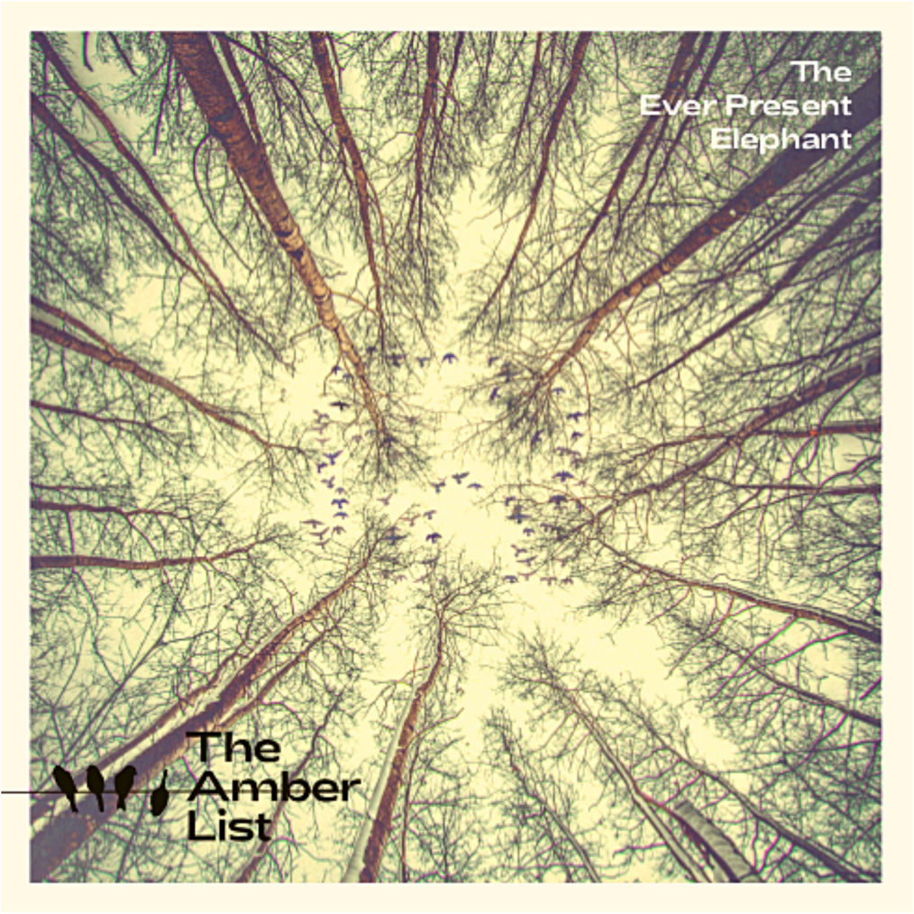 Colours Through The Air: The Amber List - The Ever Present Elephant EP
