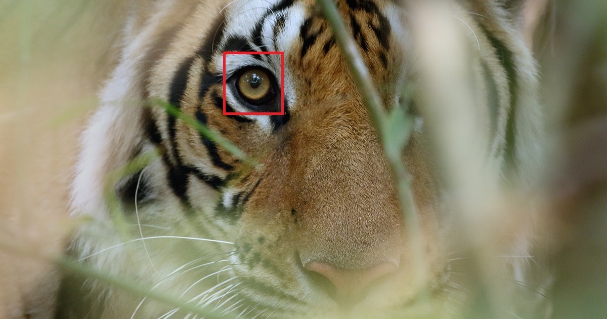 Country Road: Single Point Focusing