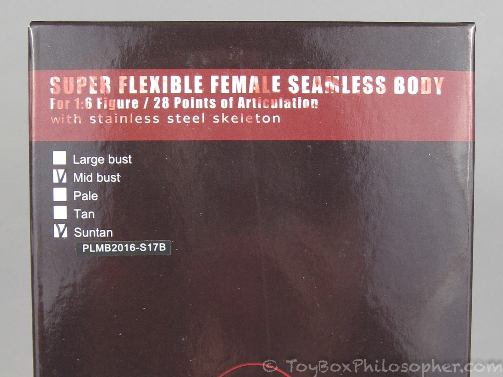 Figuring Out Phicen (Part 3): The 6th Generation Females | The Toy Box ...