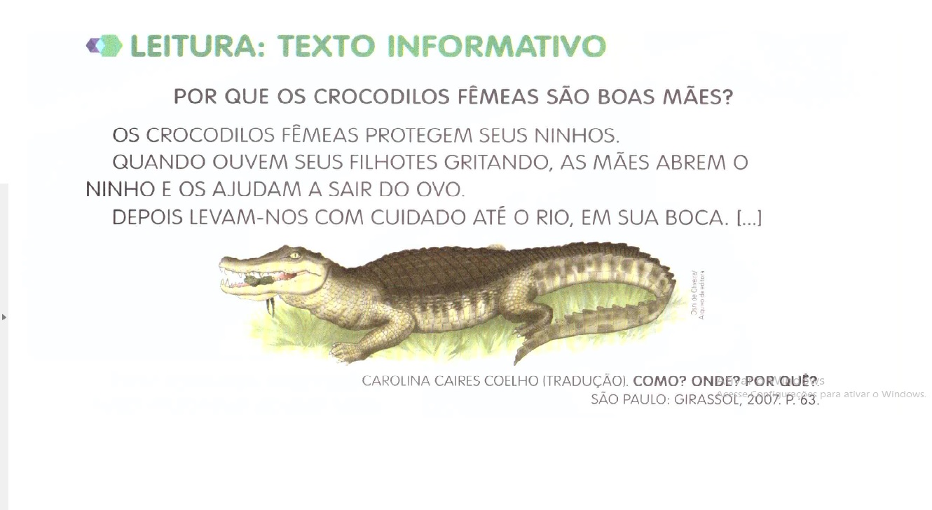 Prô Lilian Soares: TEXTO INFORMATIVO