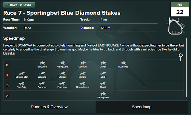 Blue Diamond Stakes preview