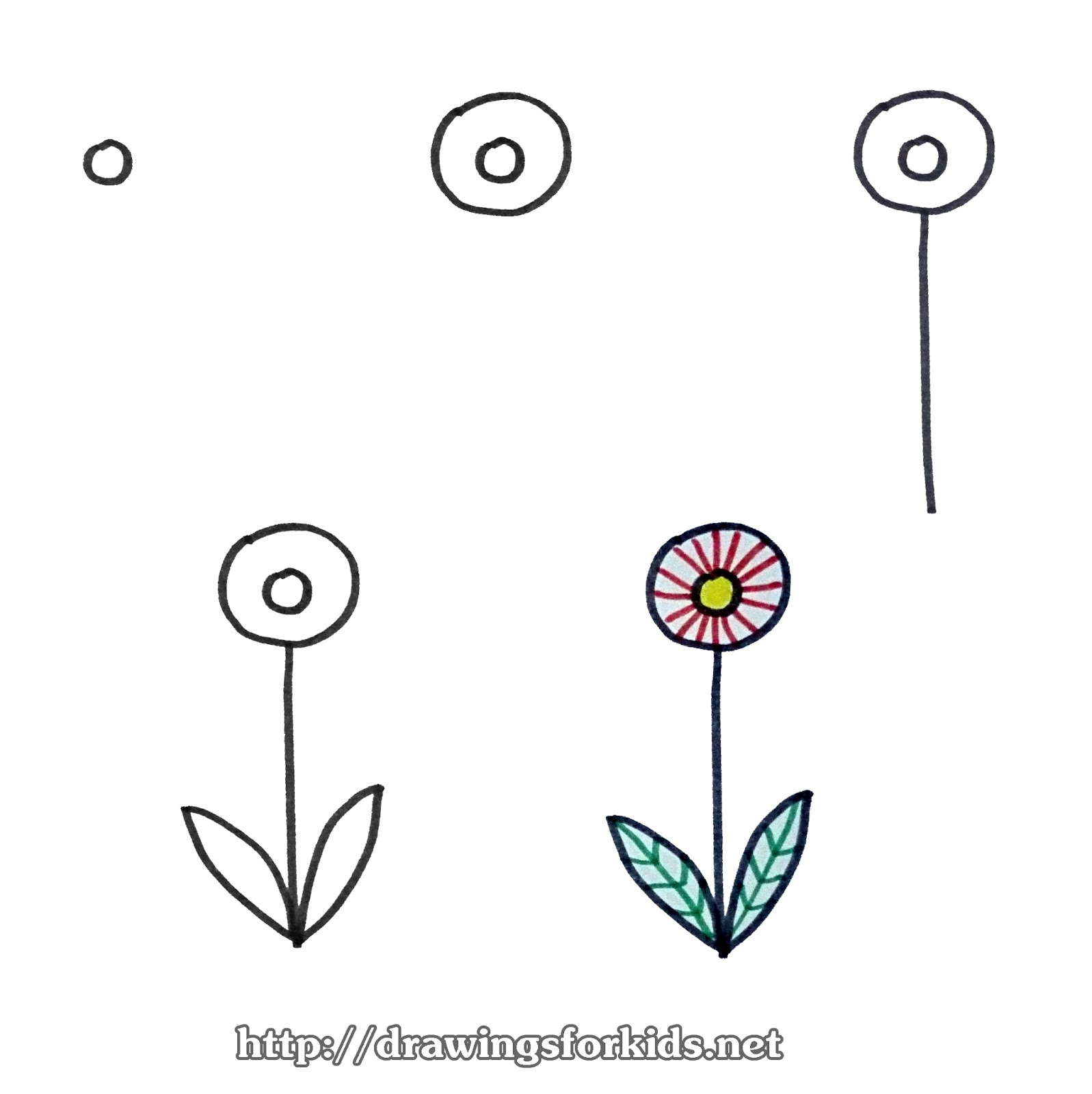How to draw a Flower for kids