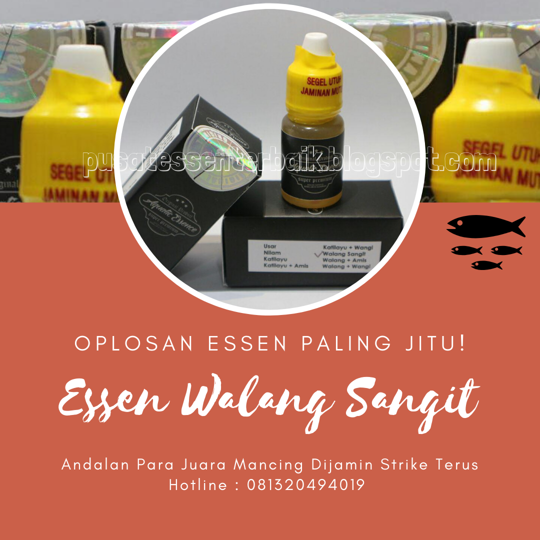 Cara Meracik Umpan Ikan Nila Cuaca Dingin Paling JOSS 2019 ~ Pusat ...