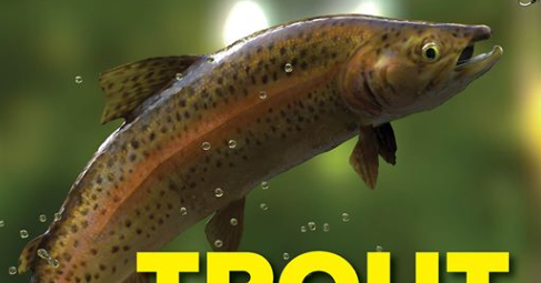Cameron County PA News: Trout Stocking Schedules