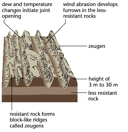 form three notes: WIND ACTIONS
