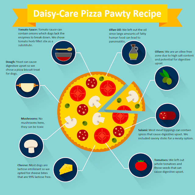 Dear Daisy: Pizza Pawty Safety