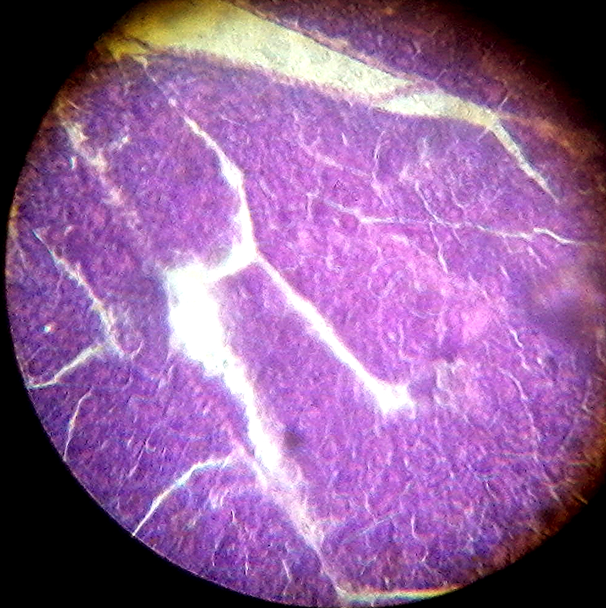 Manash (Subhaditya Edusoft): My Unusual Experiment with Mobile Phone`s ...