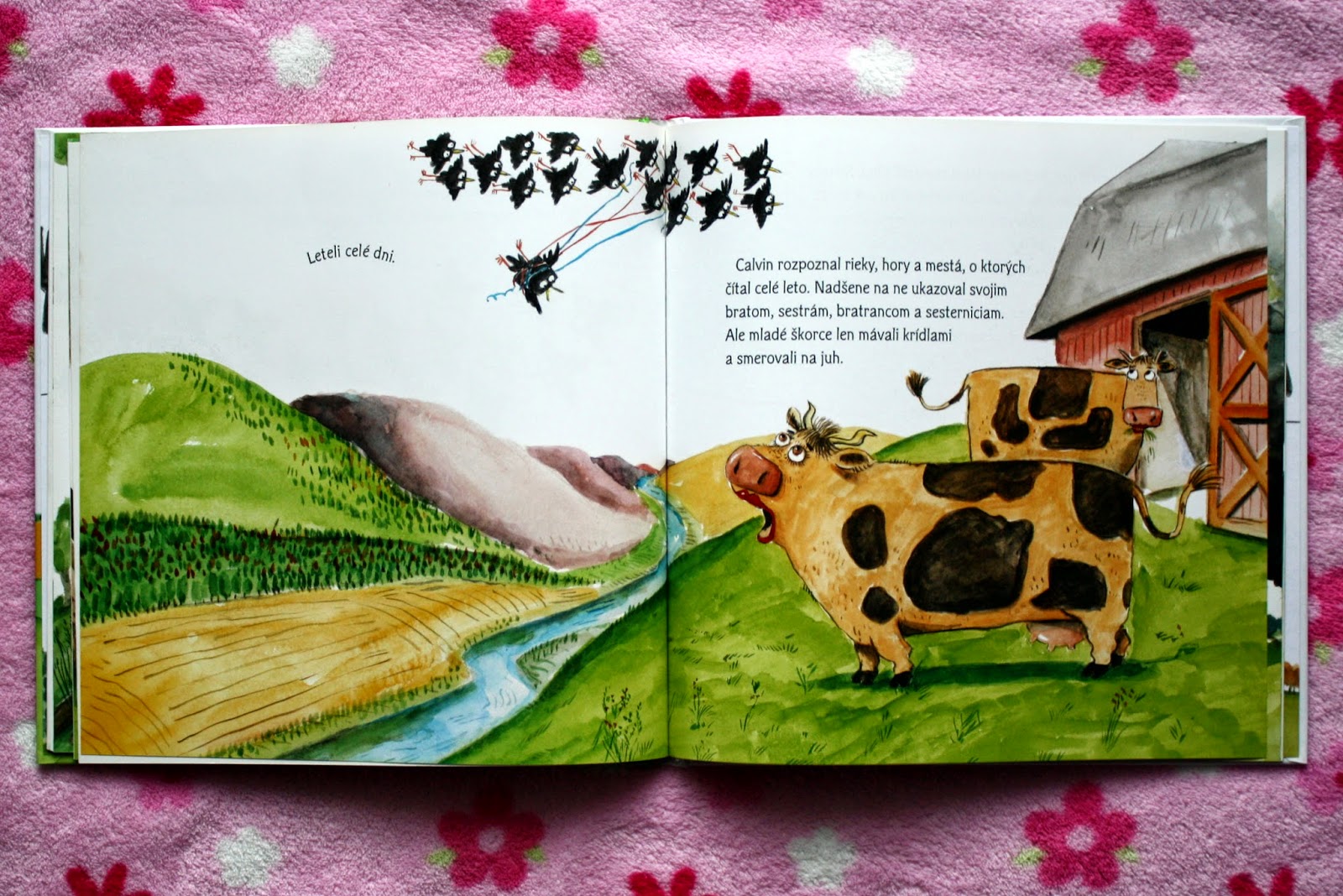 Jennifer Berne: Calvin nevie lietať